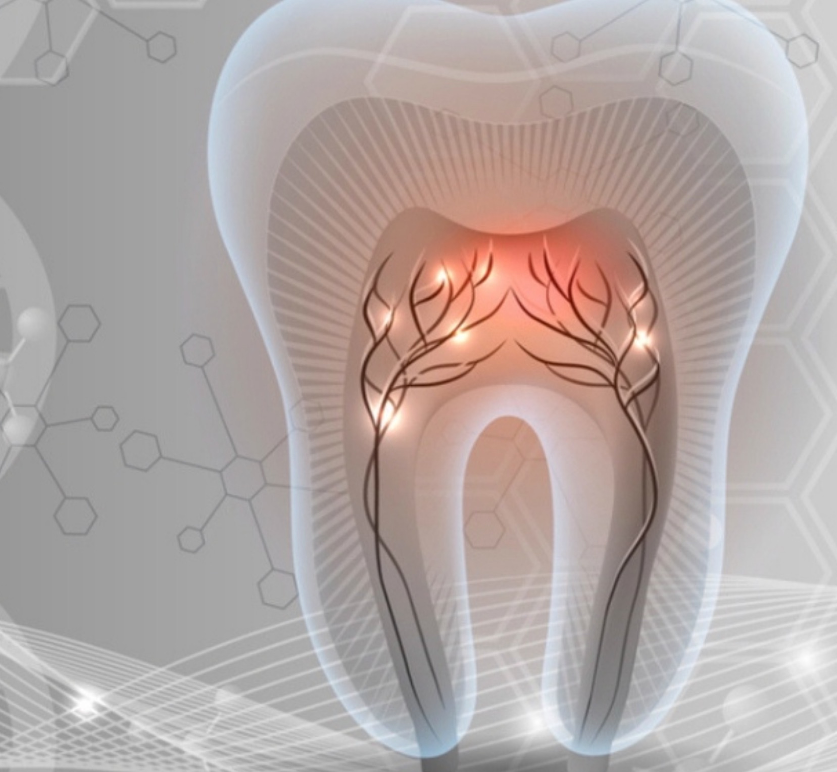 The tooth fairy, stem cells and regrowing your childs teeth.